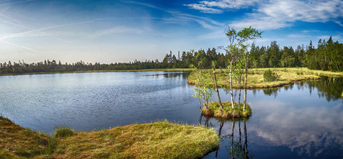 Startseite | Gernsbach